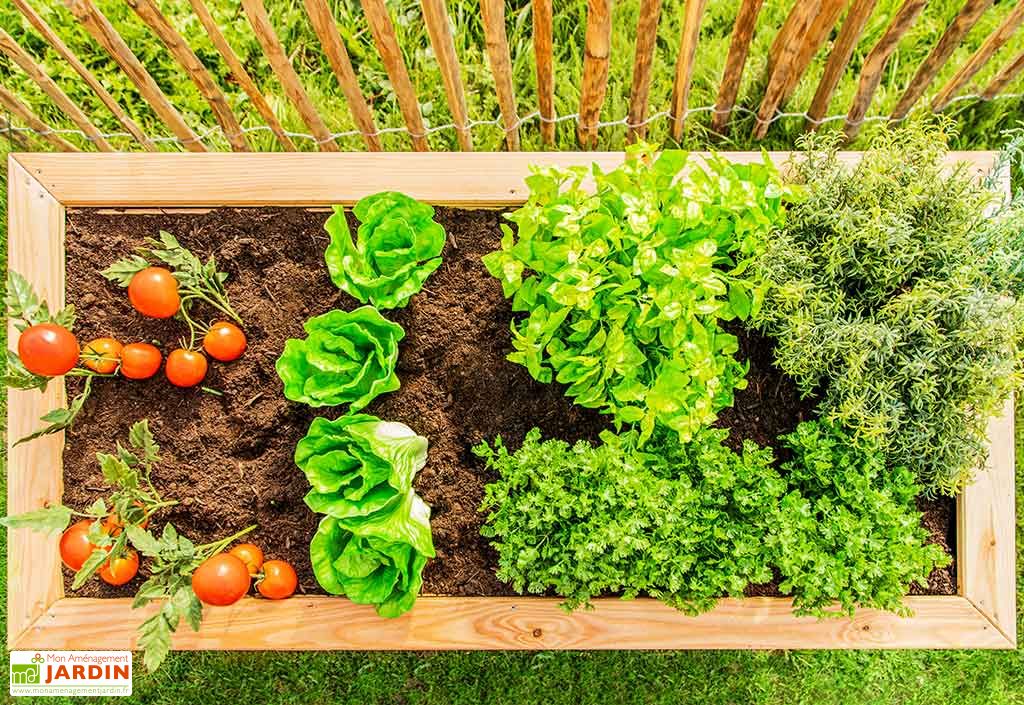 Jardinière en Bois de Mélèze Bac Potager 130 x 65 x 84 cm - Westmann