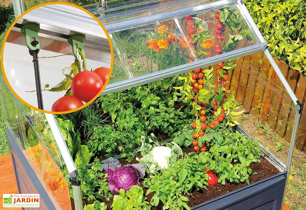 Mini Serre de Jardin en Aluminium et Polycarbonate Plant Inn (118 x 118 ...