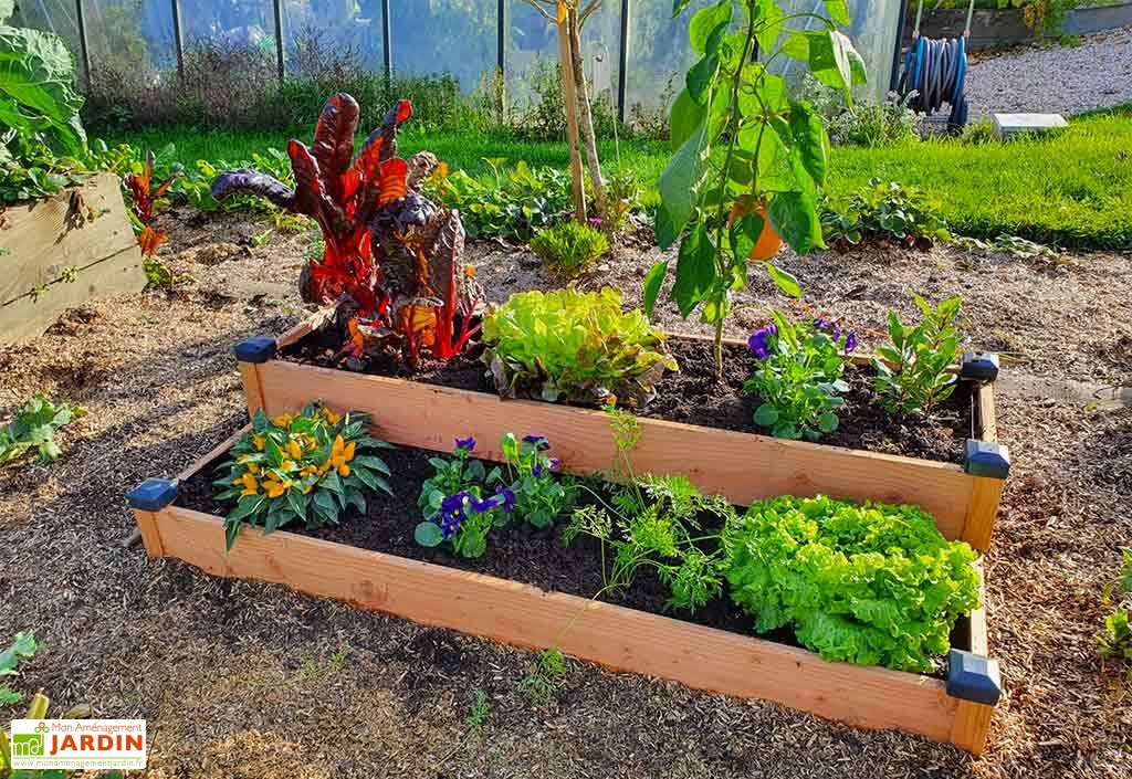 Carré potager en bois Douglas non traité sur deux étages Premium – 136 ...