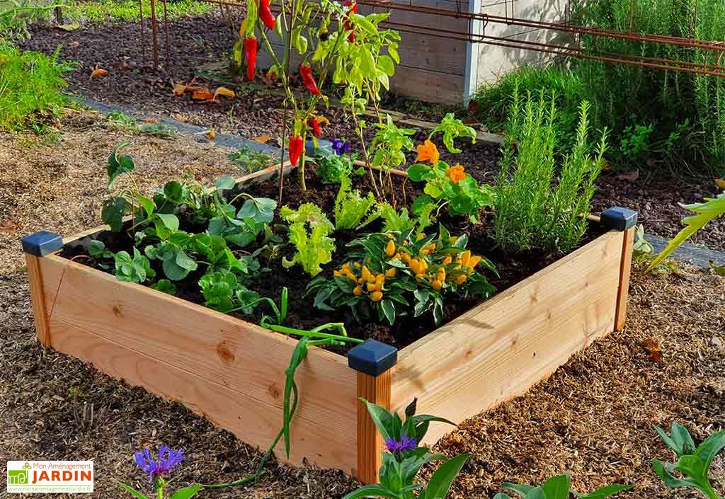 Carré potager en bois Douglas non traité Premium – 146 L - Mon Petit ...