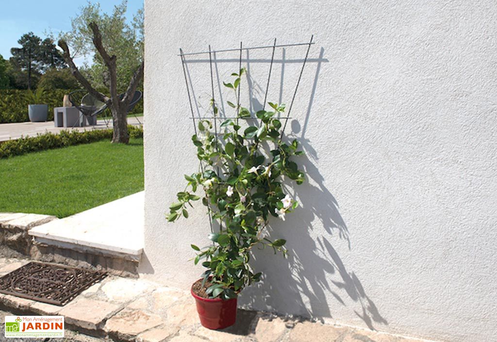 Louis Moulin : Arches de jardin, treillis fabriqués en France